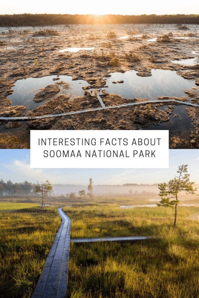 5 Interesting Facts About Soomaa National Park | Isolated Traveller